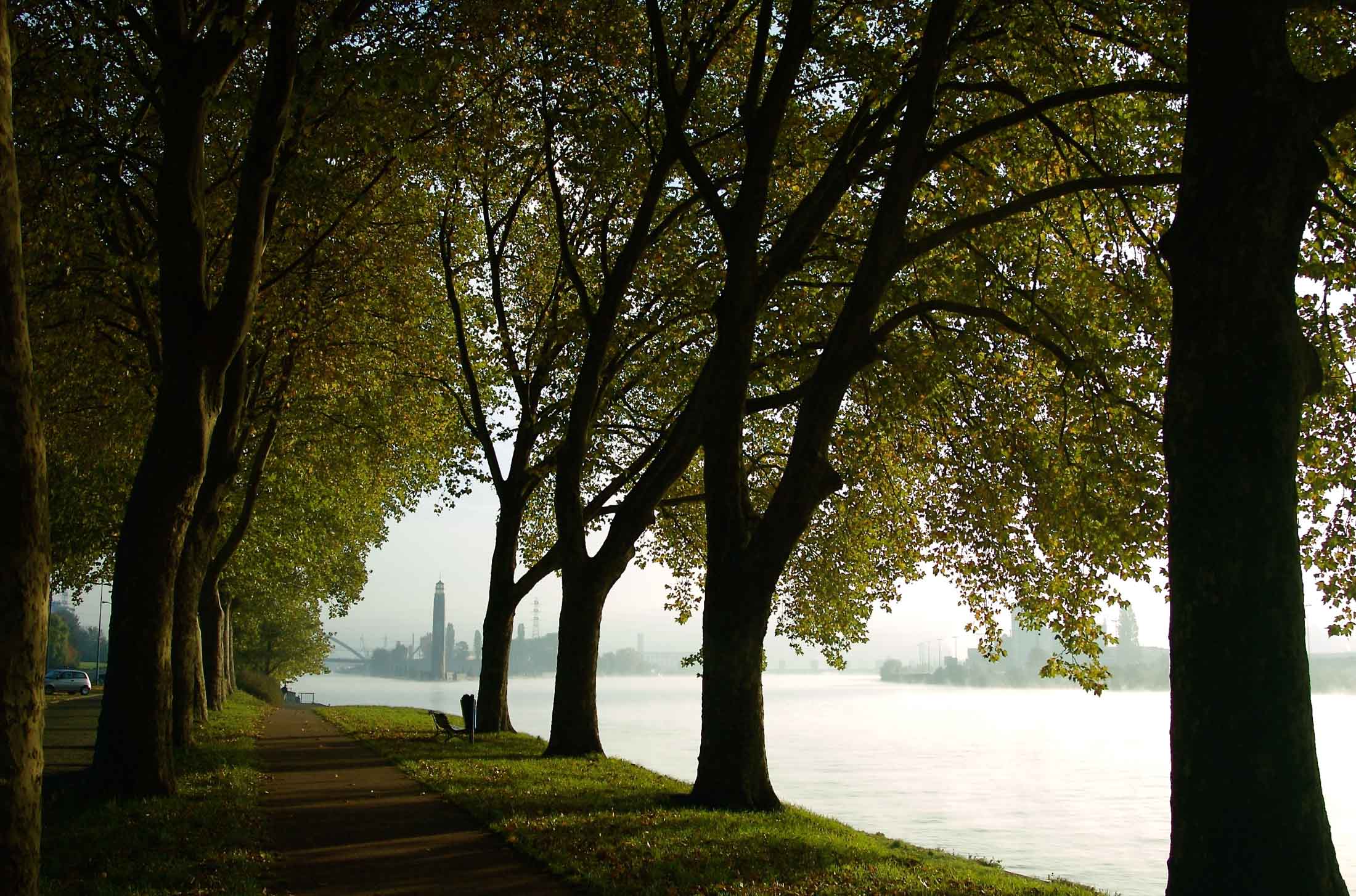 Cours photo LIèGE N°1 | THE PHOTO ACADEMY